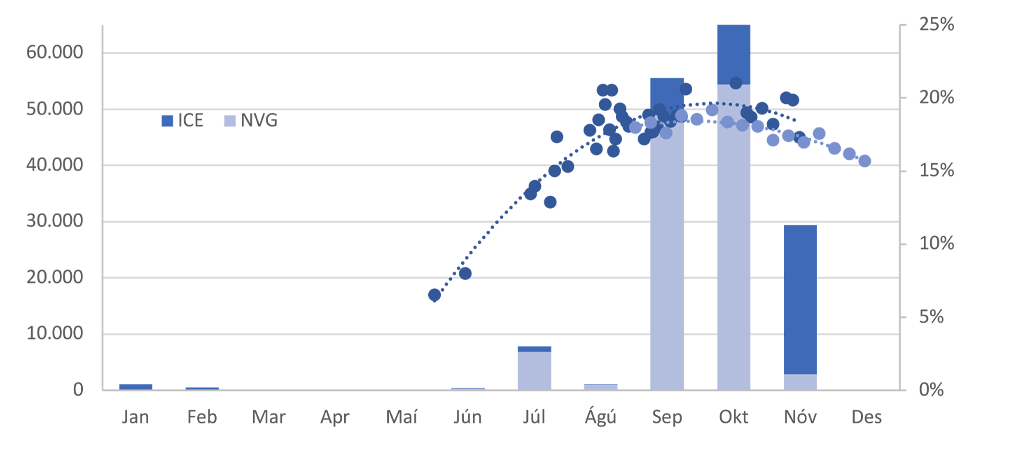 Herring | Iceland PelagicIceland Pelagic